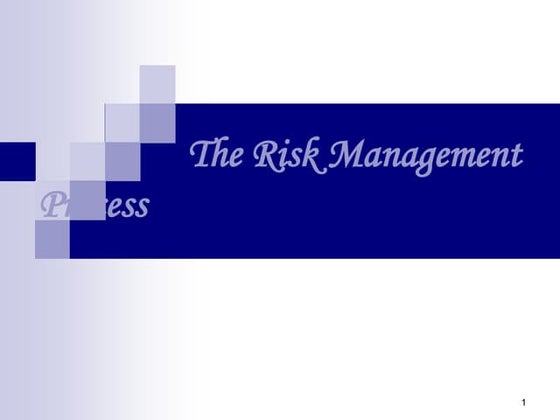 Risk_Management_Processes.pptx jsjsjsjjjsj | PPTX