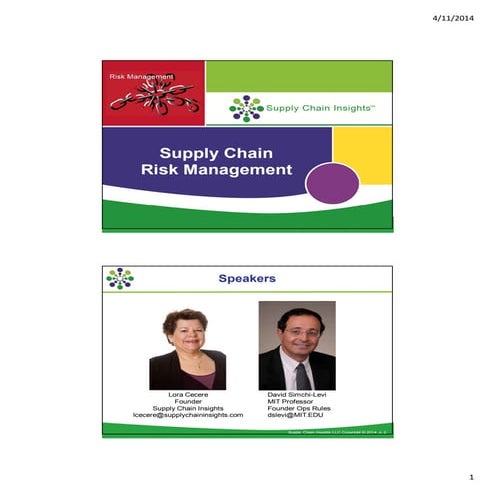 Lora & David's Risk Management Webinar Presentation | PDF