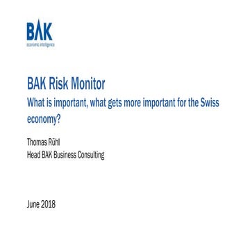BAK Risk Monitor | PPTX