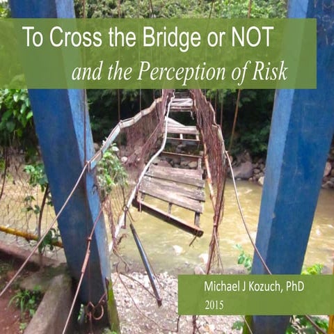 To Cross the Bridge or Not and The Perception of Risk | PPT