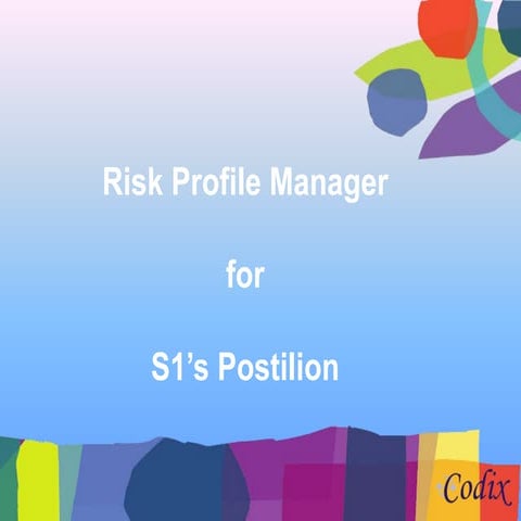 Risk Profile Manager | PPTX