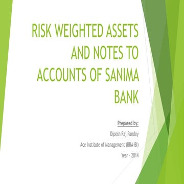 Risk Weighted Assets and Notes to Accounts | PPTX