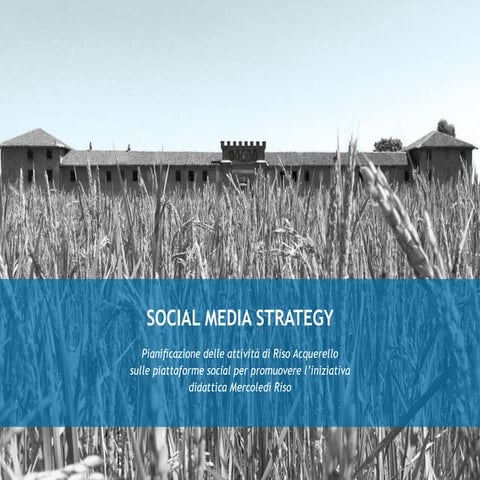 Riso Acquarello - Social Media Strategy | PPT