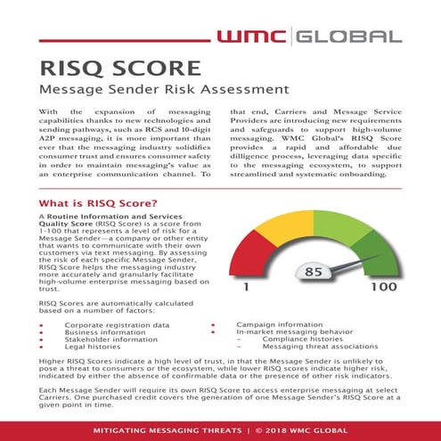 RISQ Score Overview | PDF
