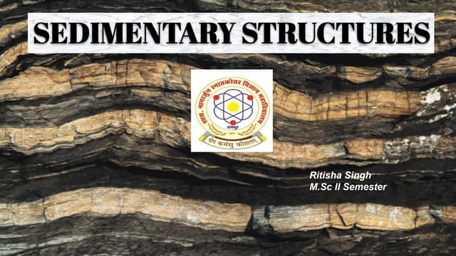 Sedimentary structure | PPTX