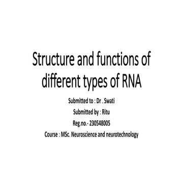 Structures And Functions Of Types Of Rna Pptx Programming Languages Computing