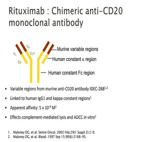 Rituximab Cd20