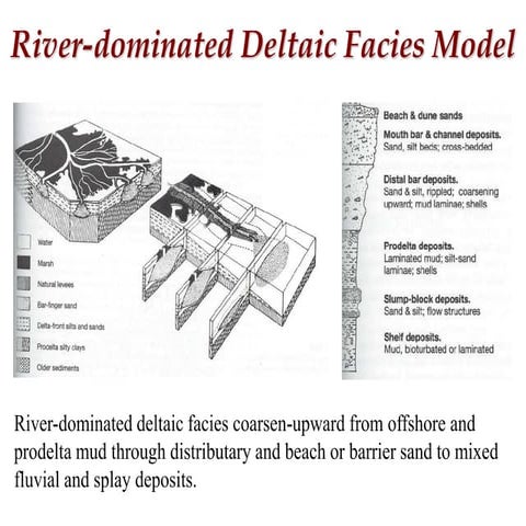 River-dominated Delta Morphology.ppt