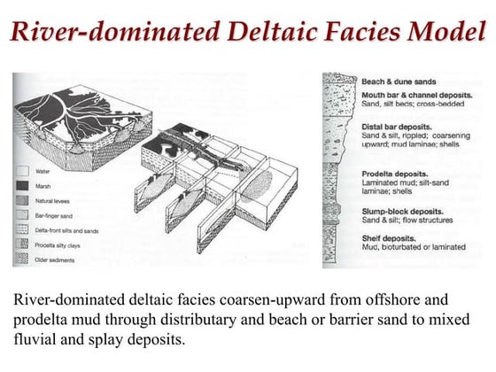 Deltas and Estuary Classification ,Sedimentology and Protection | PPTX
