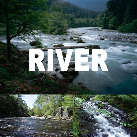River eco report | PPTX