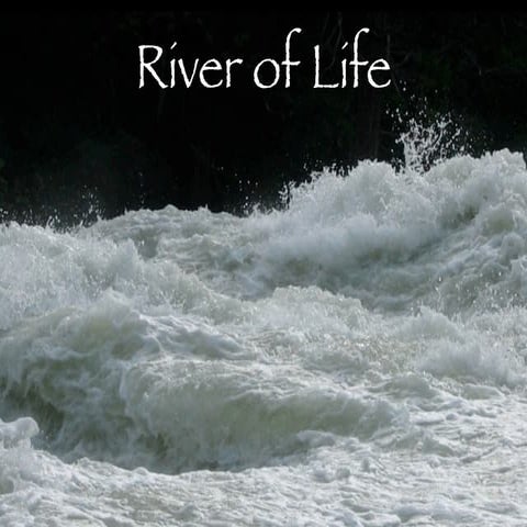 River of Life: An Evolutionary Journey for Kids and Families | KEY