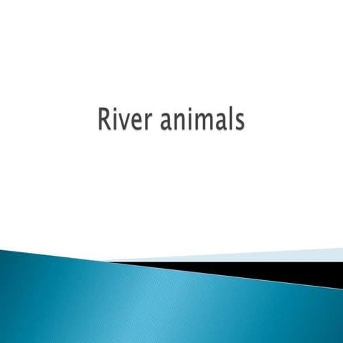 River animals | PPTX