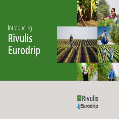 Rivulis Irrigation Logo Irrigation Products – We Are Proud Dealer Of