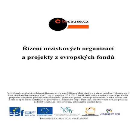 Rizeni neziskovych organizaci | PDF