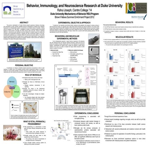 Behavior, Immunology, and Neuroscience Research at Duke University by ...