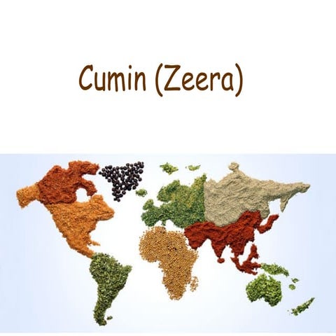 Cumin | ODP