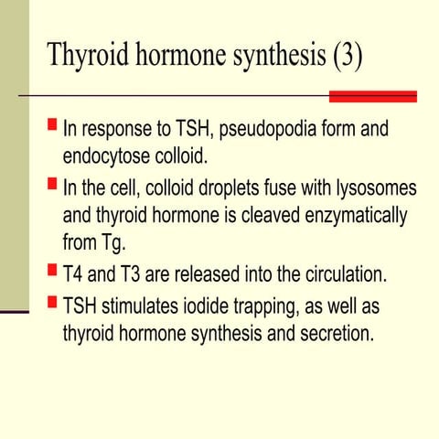 Thyroid this thyroid PPT shows a brief description of the thyroid and ...
