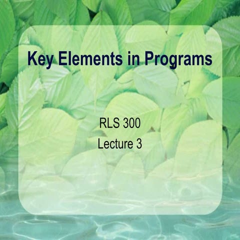 Rls 300 lecture 3 key program elements | PPT