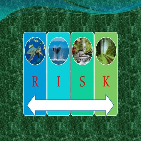 Risk Management | PPT