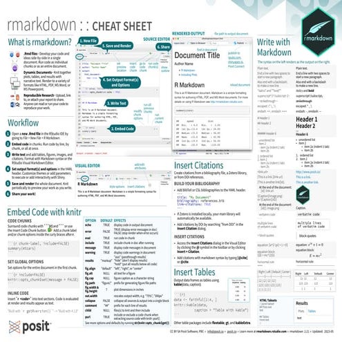 rmarkdown.pdf