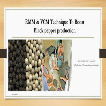 Key information on pepper production in vietnam | DOCX