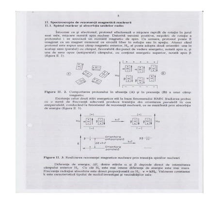 Rmn | PDF