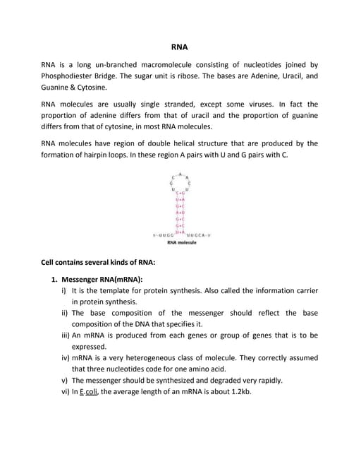 tRNA structure and function | PPTX
