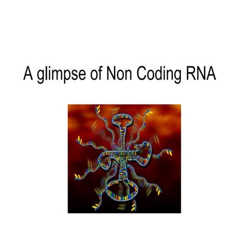Rna | PDF