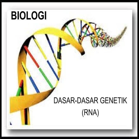 RNA | PPT