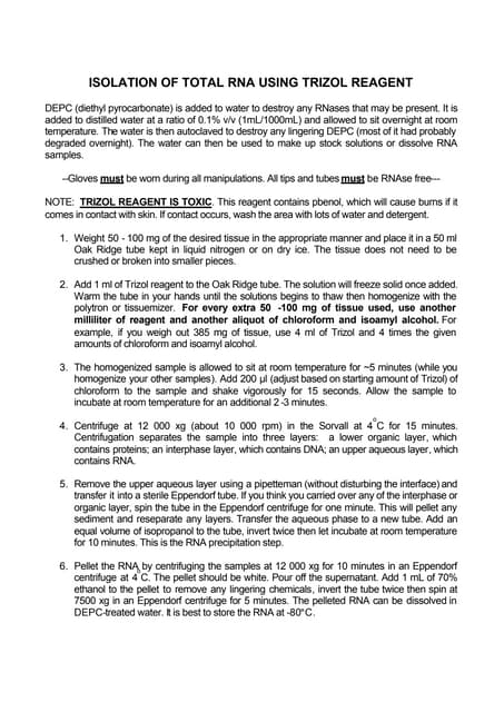 ISOLATION OF RNA | PPTX