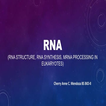 RNA (Structure, Synthesis and mRNA Processing) | PPTX