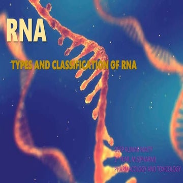 RNA.pptx
