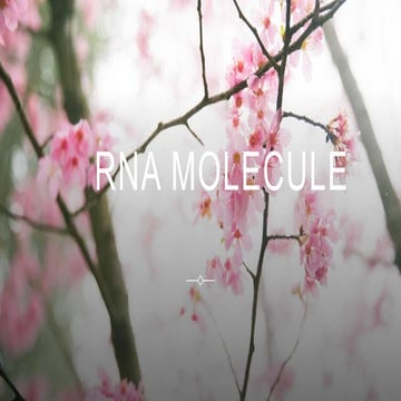 RNA-Molecule (1).pptx hjhbbjhhbhbihuh uihuhihi | PPTX