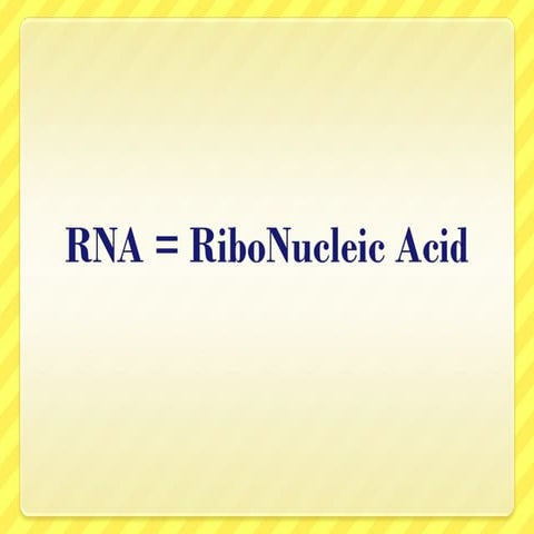 RNA-PowerPoint.......................ppt