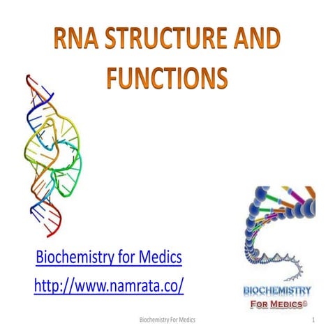 RNA- Structure, Types and Functions | PPTX