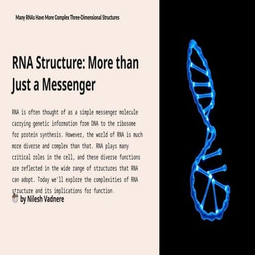 RNA-Structure-More-than-Just-a-Messenger.pptx