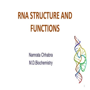Types of RNA