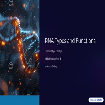 Rna Types And Functions Pdfmolecular Bio Pdf