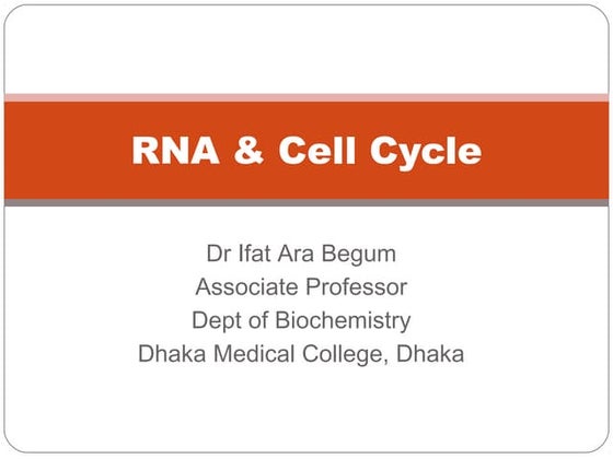 DNA & RNA | PPT