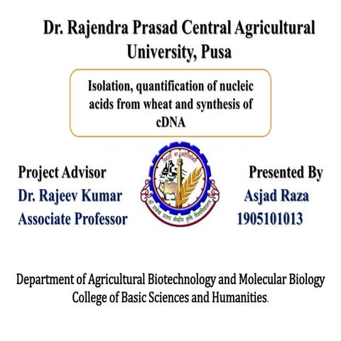 RNA, DNA Isolation and cDNA synthesis.pptx