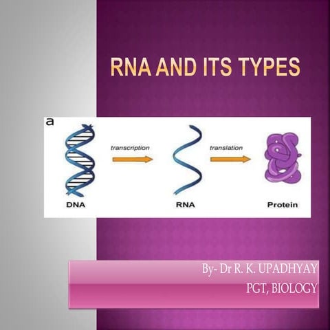 RNA AND ITS TYPES | PPTX