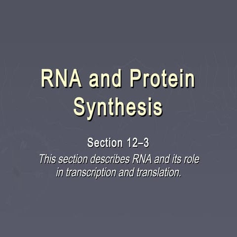 Rna and protein synthesis | PPT