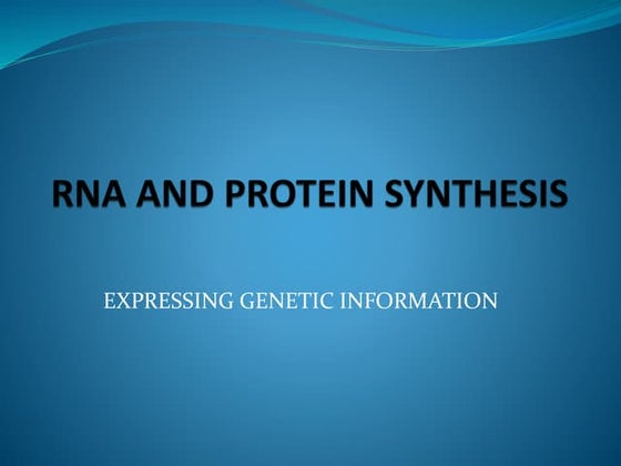 Protein synthesis | PPT