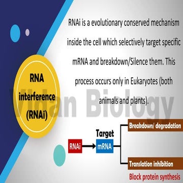RNA Interference | PDF