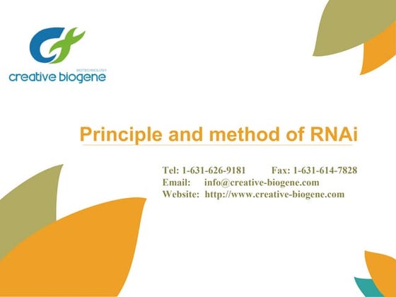 Creative biogene-The Extended Applications of RNAi | PPT