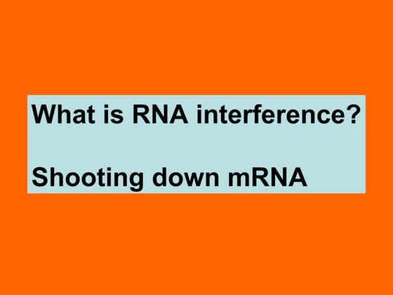 mi RNA and siRNA | PPT