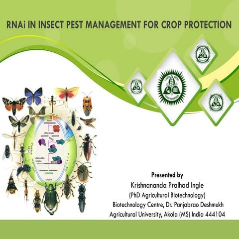 Rna interference in insect pest management | PDF