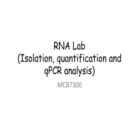 RNA lab 021215.pptx