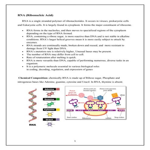 RNA types-structure and functions of mRNA,rRNA and tRNA. | PPTX