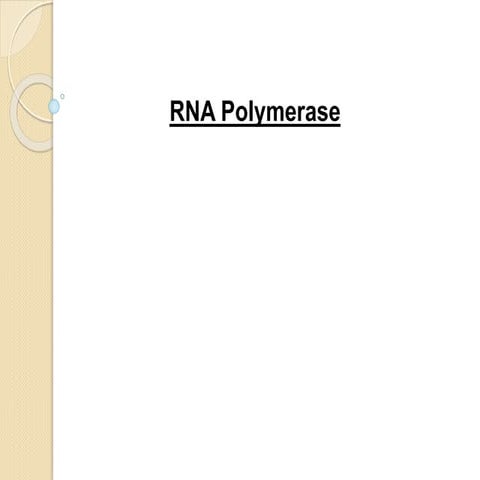 RNA Polymerase.pptx